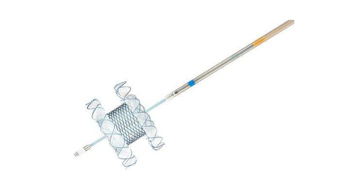 Olympus to Acquire Korean GI Stent Maker Taewoong Medical - Medical ...