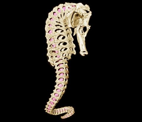 Researchers Study Seahorse Tail for Advanced Robotic Medical Devices ...