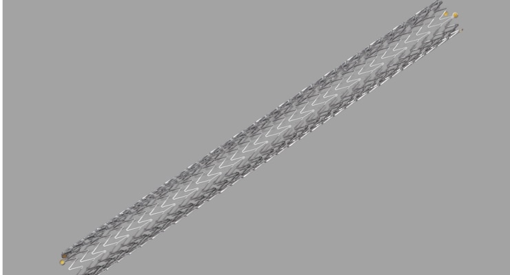 Cook Medical Receives FDA Approval for First 5 mm-Diameter SFA Drug ...