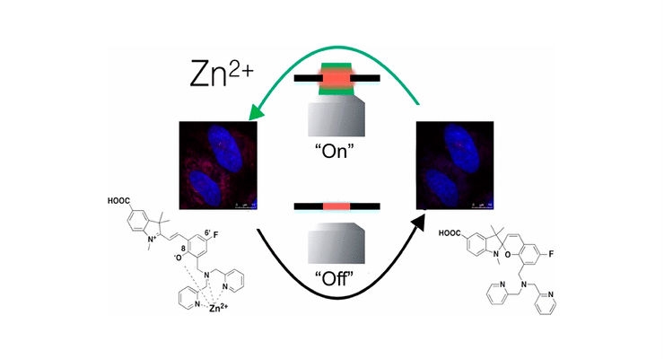 Australian Researchers Develop New Zinc Sensor - Medical Product ...