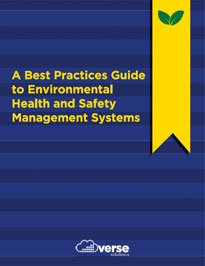 A Best Practices Guide to Environmental Health and Safety Management ...