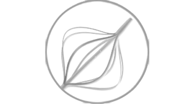 ANNOUNCING! A new divisional structure for Spectrum Plastics Group ...