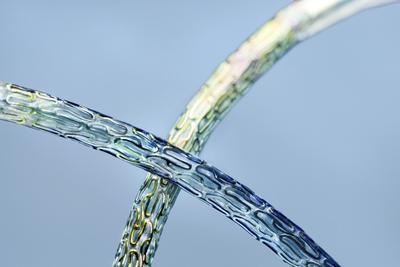 Biotronik Japan Enrolls First Patients in Bioflow-IV Clinical Study ...