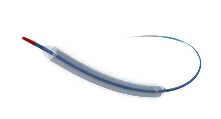Boston Scientific's Agent Paclitaxel-Coated Balloon Gets FDA OK ...