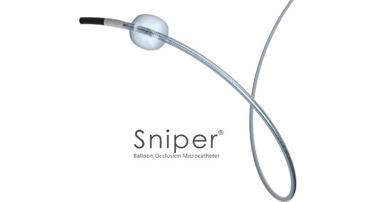 Embolx Signs Agreement With U.S. Government for Sniper Balloon ...