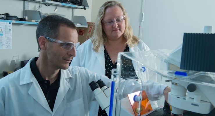 Study Probes Heart of Synthetic Valves - Medical Product Outsourcing