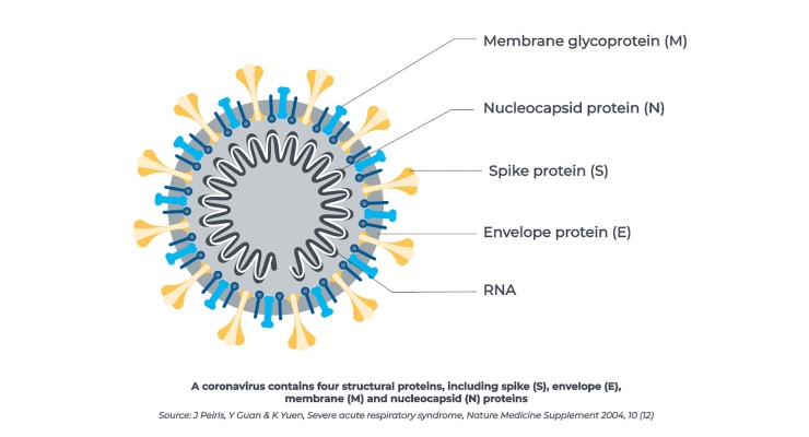 Beckman Coulter's SARS-CoV-2 IgG Antibody Test Receives FDA EUA ...