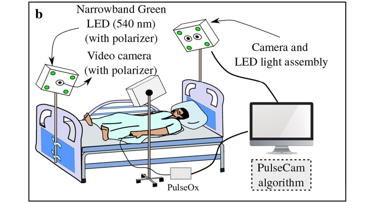 PulseCam Maps Blood Flow - Medical Product Outsourcing