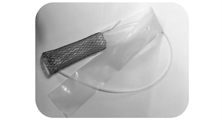 SafeHeal Completes First-in-Human Clinical Study of Endoluminal Bypass ...