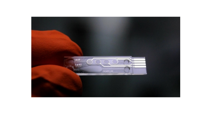 CardioRenal, CEA Sign Multi-Year Partnership Agreement to Fine-Tune ...
