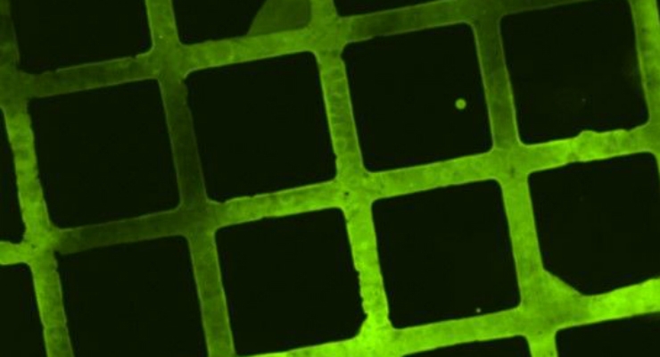 Biodegradable Polymer Coating for Implants - Medical Product Outsourcing