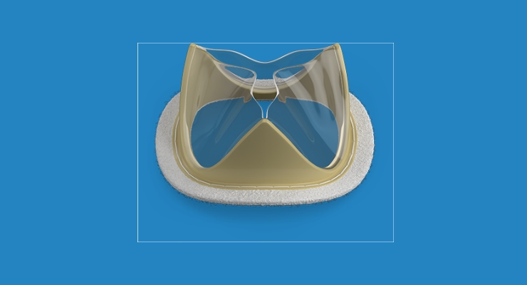 Foldax Inc. Gains Approval to Begin U.S. Clinical Trials of First and ...