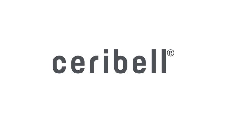 Ceribell Inc. Receives FDA Breakthrough Device Designation for Delirium ...