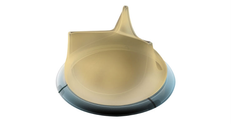 FDA Approves Stented Heart Valve for Aortic Valve Disease - Medical ...