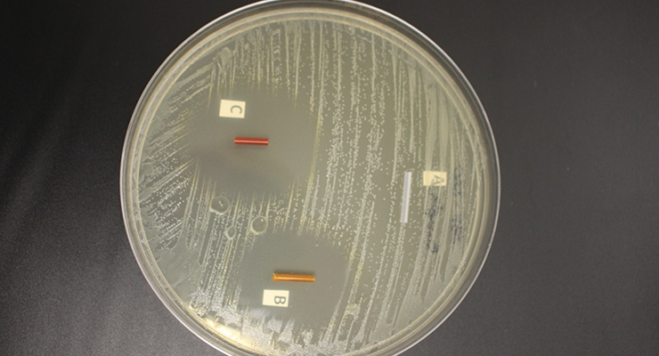 Battling Bacteria - Medical Product Outsourcing