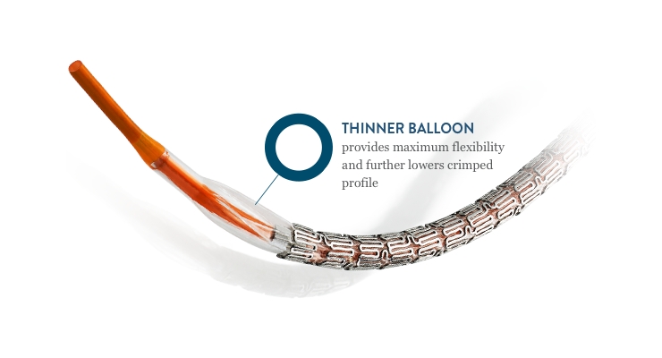 FDA Approves Abbott's Xience Sierra Everolimus-Eluting Coronary Stent ...