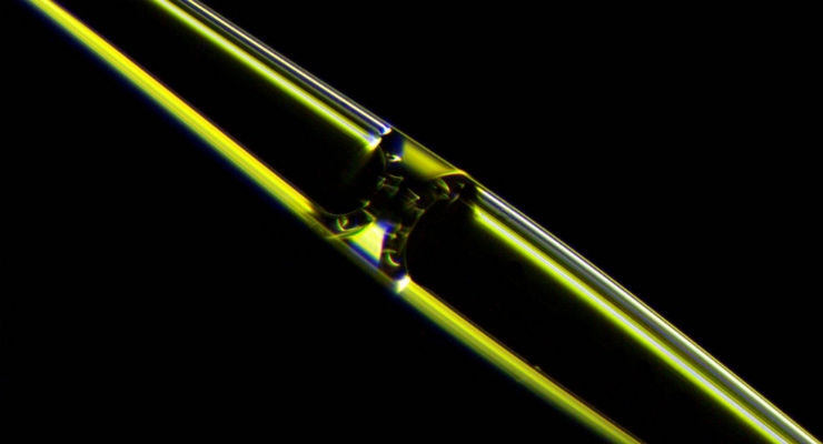 New Photonic Sensor Opens the Door to High-Speed Biodetection - Medical ...