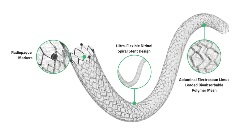 Medinol Begins Study for its Drug-Eluting Peripheral Stent System ...