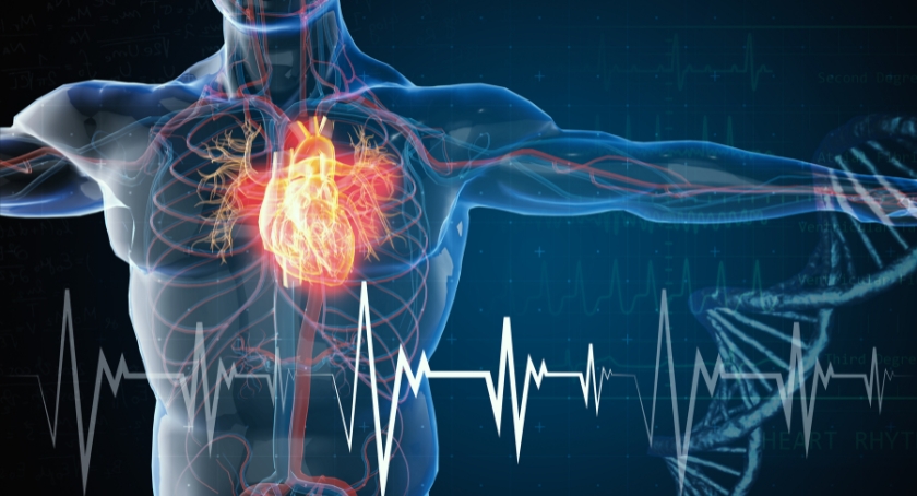 Four Recent Developments in Cardiotech