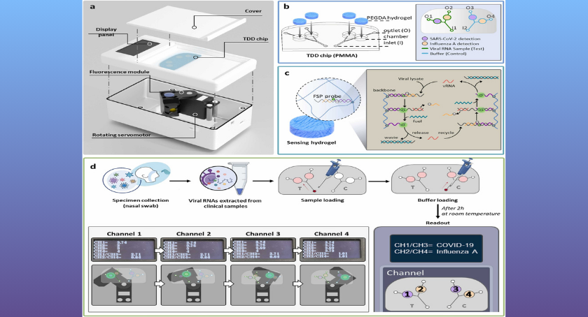 Korean Researchers Develop Dual COVID and Flu Rapid Test - Medical ...