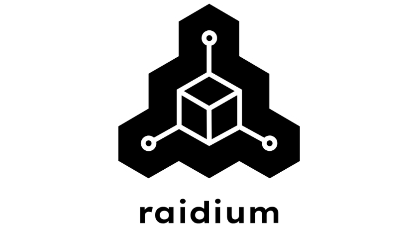 Raidium Introduces Promptable AI Model for Medical Imaging - Medical ...