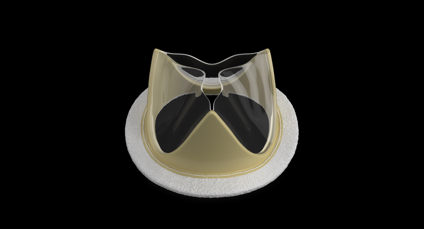 India Regulators Approve Foldax's TRIA Mitral Heart Valve - Medical ...