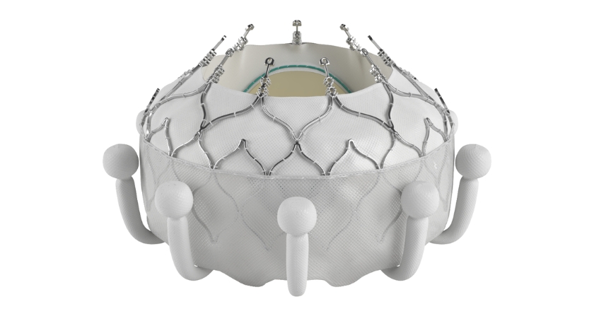 Edwards Data Supports Sapien M3 Mitral, Evoque Tricuspid Valves
