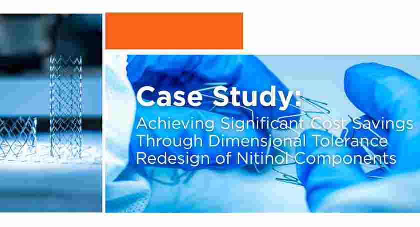 Case Study: Achieving Significant Cost Savings Through Dimensional ...